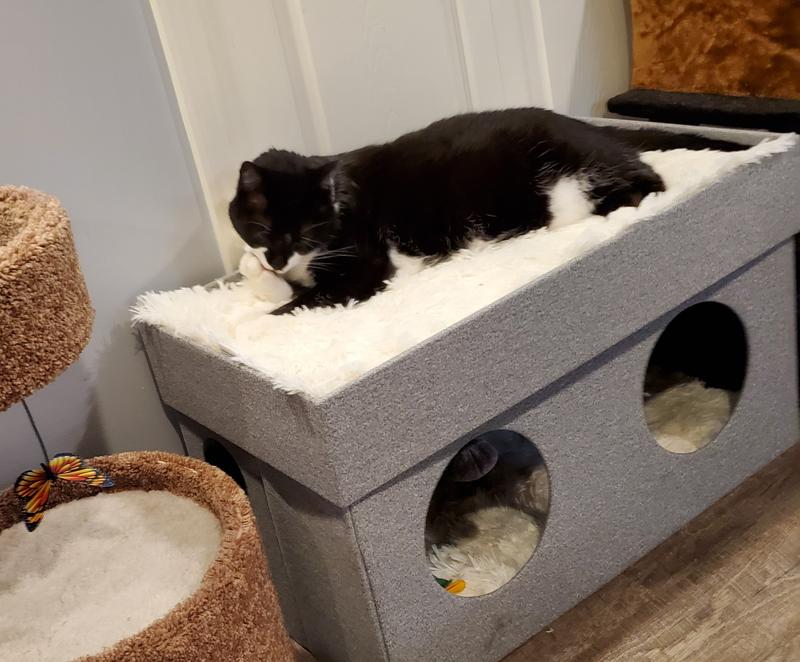 FRISCO Double Cube Stackable and Collapsible Cat Condo, Gray - Chewy.com