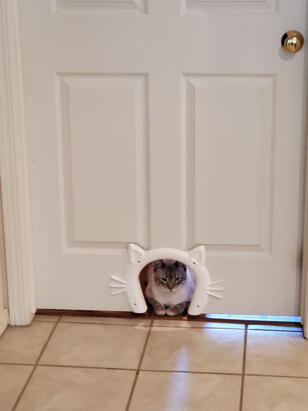 PETSAFE Durable Interior Cat Door, Up to 20-lbs, White - Chewy.com