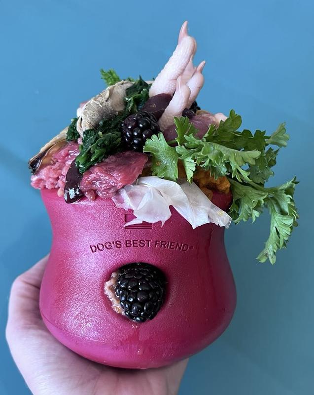 WEST PAW Zogoflex Toppl Tough Treat Dispensing Dog Chew Toy, Green ...