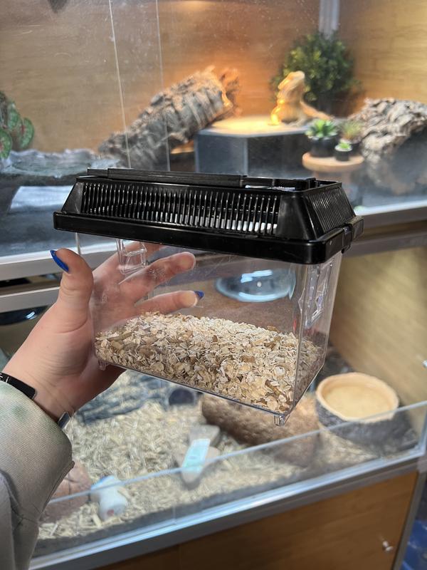 EXO TERRA Cricket Pen with Dispensing Tubes, Small: 2 tubes - Chewy.com