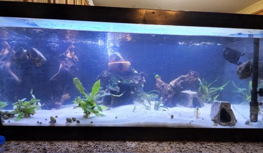 CARIBSEA Super Naturals Crystal River Freshwater Sand, 20-lb bag ...