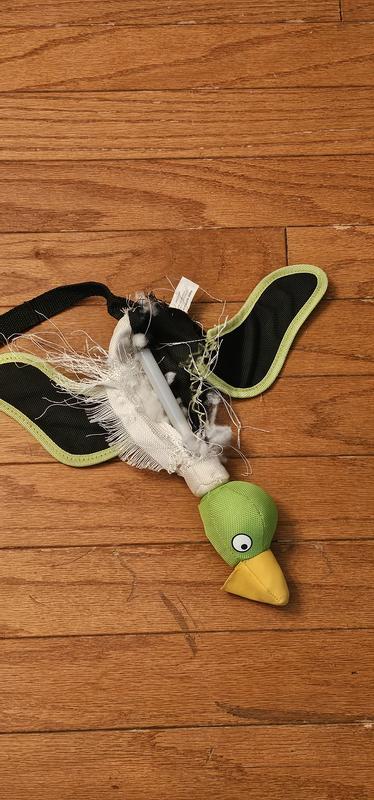 HYPER PET Flying Series Dog Toy, Flying Green Duck - Chewy.com