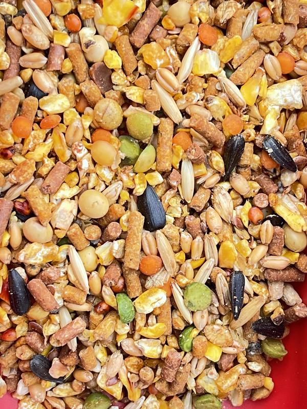 KALMBACH FEEDS All Natural Henhouse Reserve 17% Protein Premium Layer ...