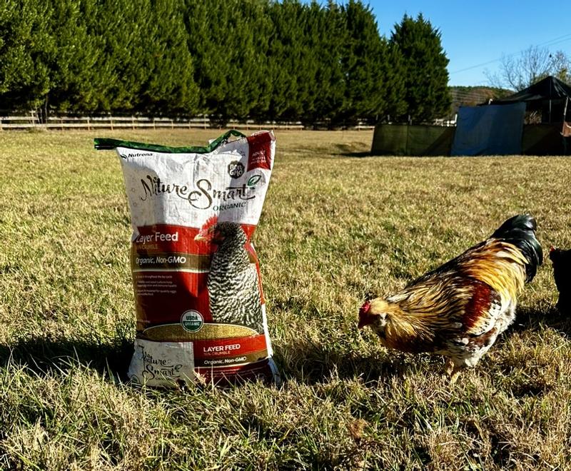 NUTRENA Nature Smart Organic Layer Feed 16% Protein Crumble Chicken ...