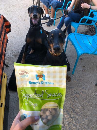 REMY'S KITCHEN Superfood Snacks Apple & Cinnamon Flavor Grain-Free ...