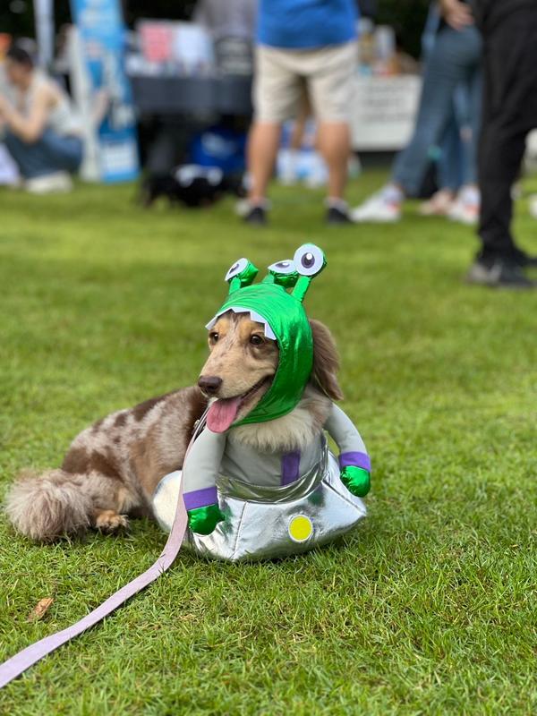 FRISCO Front Walking Alien Dog & Cat Costume, Small - Chewy.com