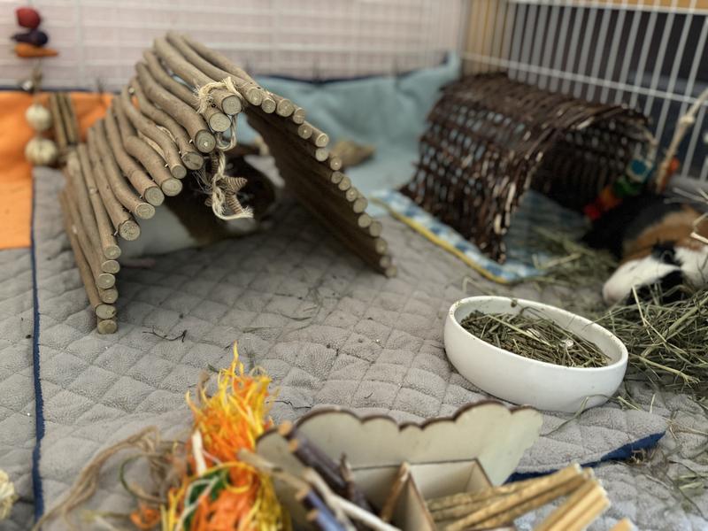 FRISCO Wooden Bridge Small Pet Hideout, Small - Chewy.com