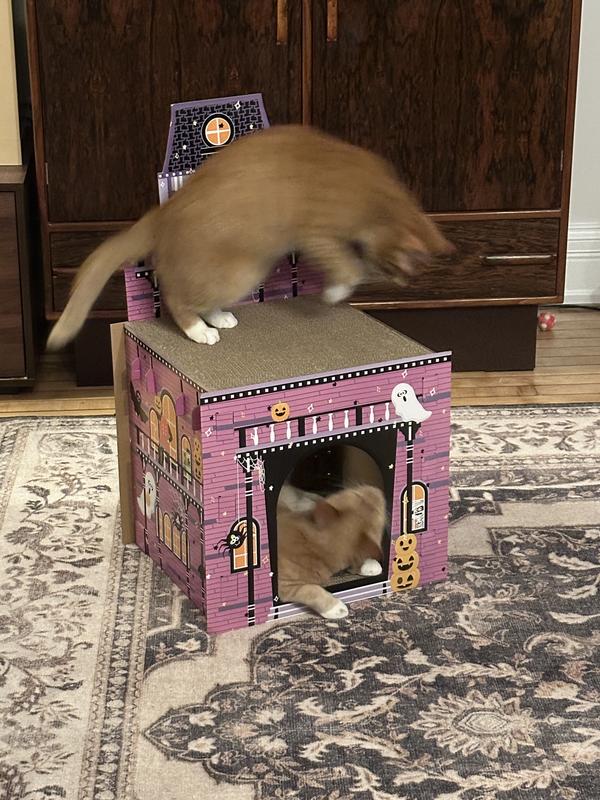 FRISCO Halloween Mansion Cardboard Cat House with Silvervine & Catnip ...