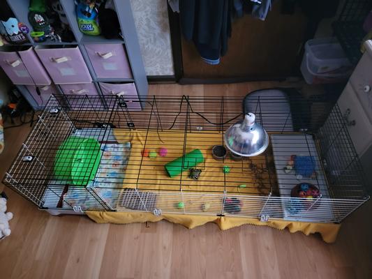 MIDWEST Wabbitat Deluxe Rabbit Home Wire Extension - Chewy.com