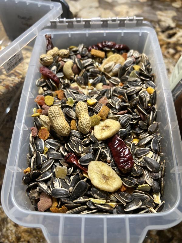 HIGGINS Vita Seed Parrot Food, 25-lb - Chewy.com