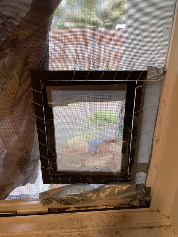 PETSAFE Window & Porch Screen Pet Door, Small - Chewy.com