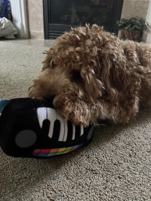 BARK Wonder Keyboard Squeaky Plush Dog Chew Toy, Small/Medium - Chewy.com