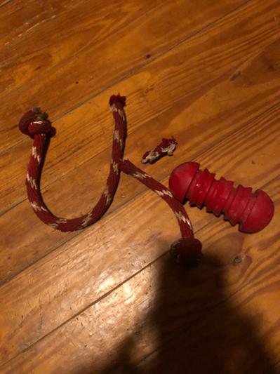 KONG Dental with Rope Dog Toy, Small - Chewy.com