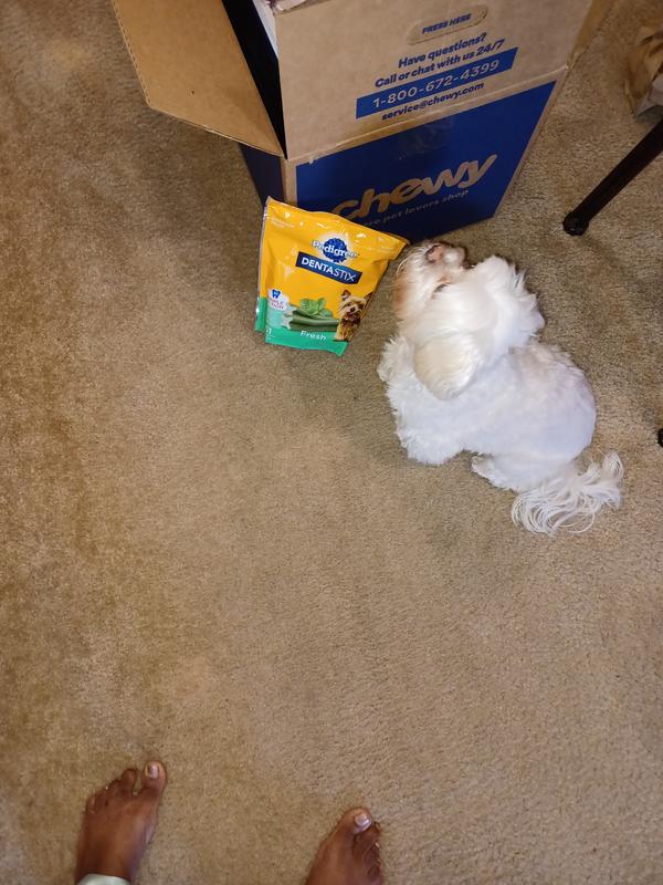 MERRICK Power Bites Real Rabbit + Sweet Potato Recipe Grain-Free Soft ...