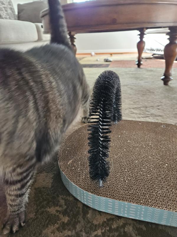 CATSTAGES Scratch & Groom Scratch Pad & Grooming Brush Cat Toy | Chewy Canada