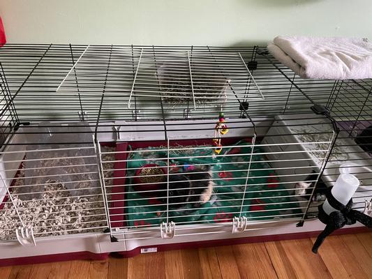 FERPLAST Krolik 140 Rabbit Cage & Wire Hutch - Chewy.com