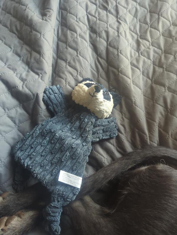 HUGGLEHOUNDS Reggie Raccoon HuggleFlatties Tough Plush Dog Toy, Gray ...