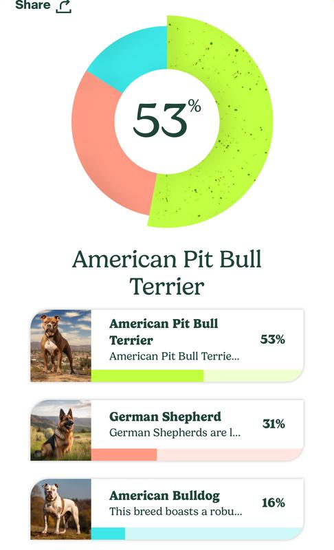 ANCESTRY Breed Identification Dog DNA Test Kit - Chewy.com