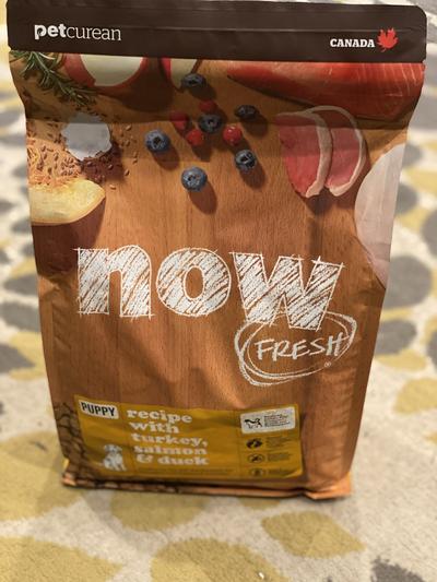 NOW FRESH Grain-Free Adult Recipe Dry Dog Food, 12-lb bag - Chewy.com