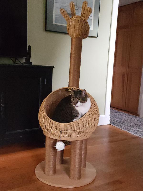 FRISCO Giraffe 51" Wicker Cat Tree & Condo - Chewy.com