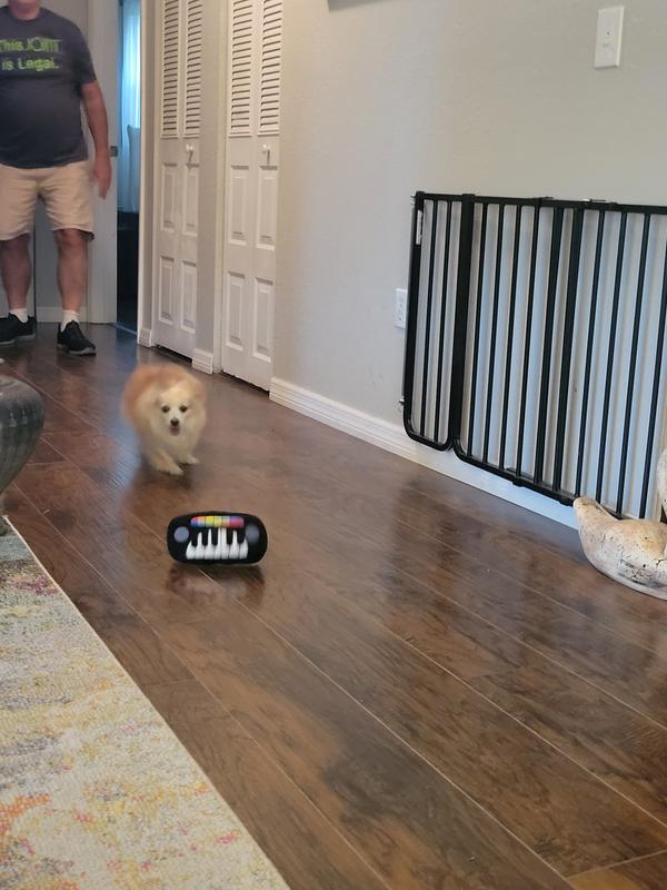 BARK Wonder Keyboard Squeaky Plush Dog Chew Toy, Small/Medium - Chewy.com