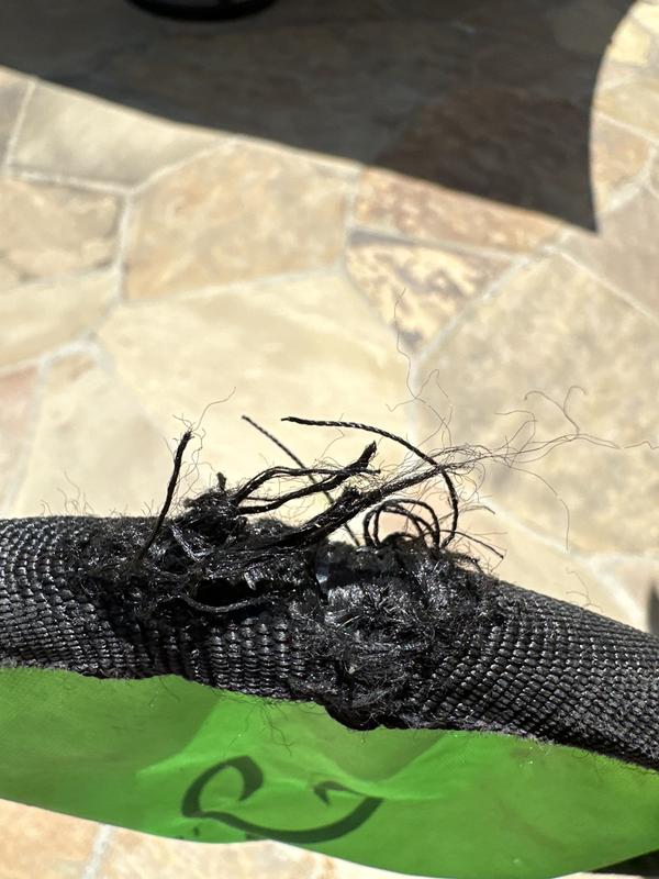 HYPER PET Flippy Flopper Flying Disc Dog Toy, Color Varies, 9-in, 2 ...