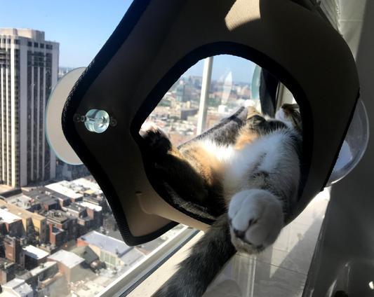 Discontinued - K&H PET PRODUCTS EZ Mount Bubble Pod Cat Window Perch ...