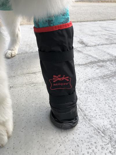 MEDIPAW Rugged Dog & Cat Protective Boot, Small - Chewy.com