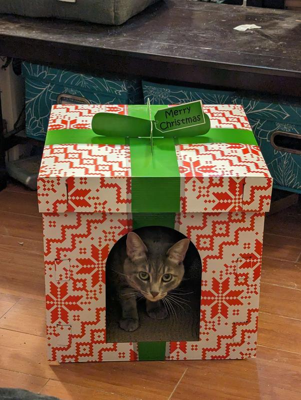 FRISCO Holiday Gift Box Cardboard Cat House - Chewy.com