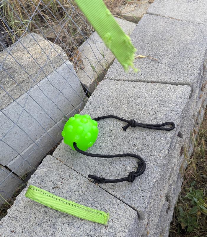 JOLLY PETS Tree Tugger Rope Tug Dog Toy - Chewy.com