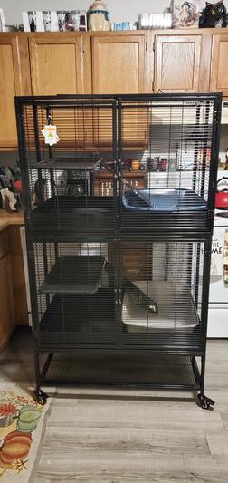 FRISCO Small Animal Cage, Two Story - Chewy.com