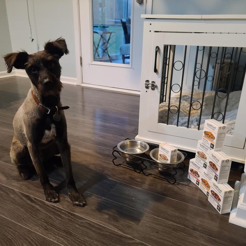 JUSTFOODFORDOGS Pantry Fresh Human-Grade Non-GMO Variety Pack Fresh Dog ...