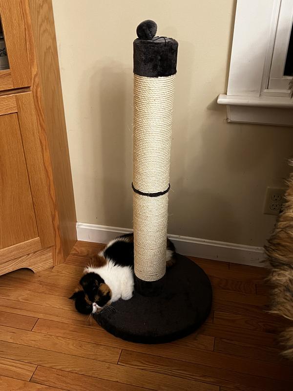 Smartykat Catnip Mist Spray 0 5 Oz Bottle Bundle Of 2