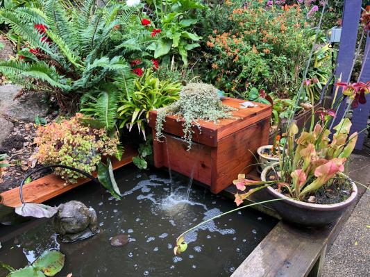 TETRA Pond Waterfall Filter - Chewy.com