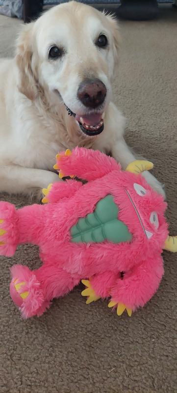 Out of Stock - FRISCO Halloween Zany Monster Muscle Plush Squeaky Dog ...