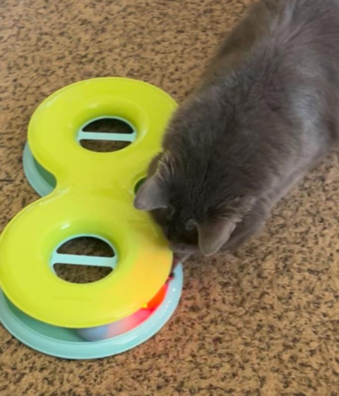 CATSTAGES Infinity Ball Track Including One Light-Up Ball, Figure-8 ...