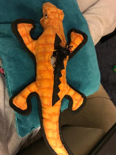 TUFFY'S Desert Gila Monster Squeaky Plush Dog Toy, Regular - Chewy.com