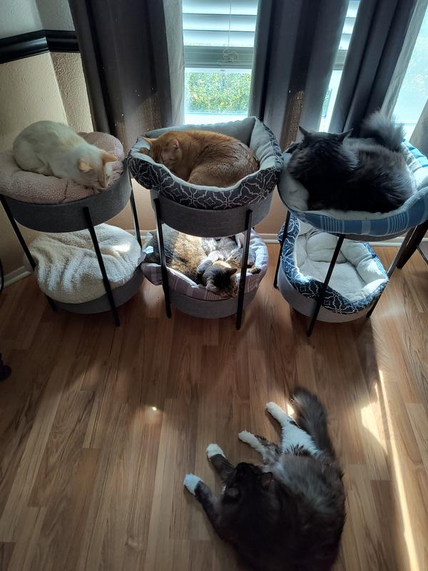 FRISCO Modern Elevated Wrought Iron Cat Bed with Eyelash Cushion, One ...