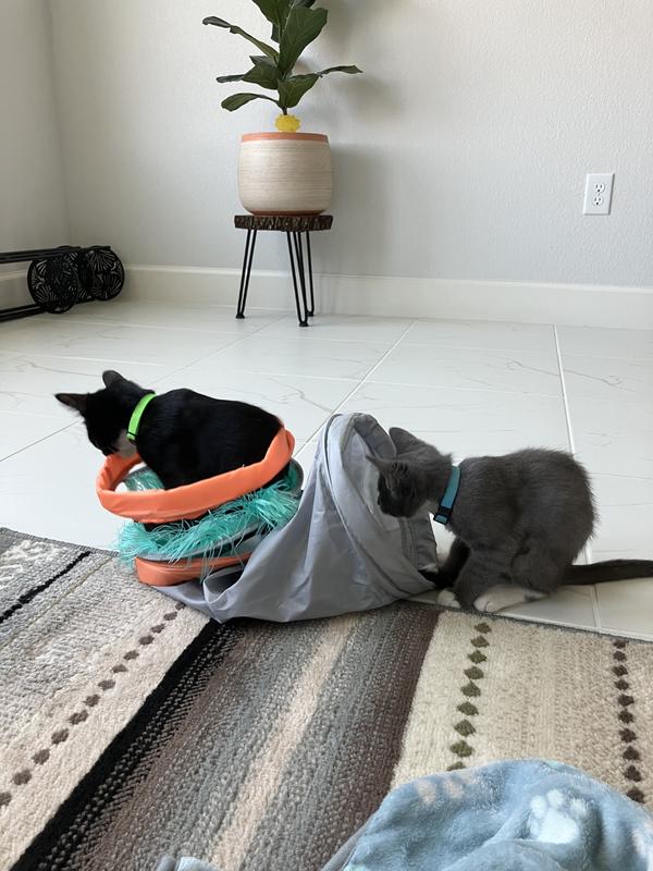 SMARTYKAT Fringe Frenzy Cat Activity Tunnel - Chewy.com