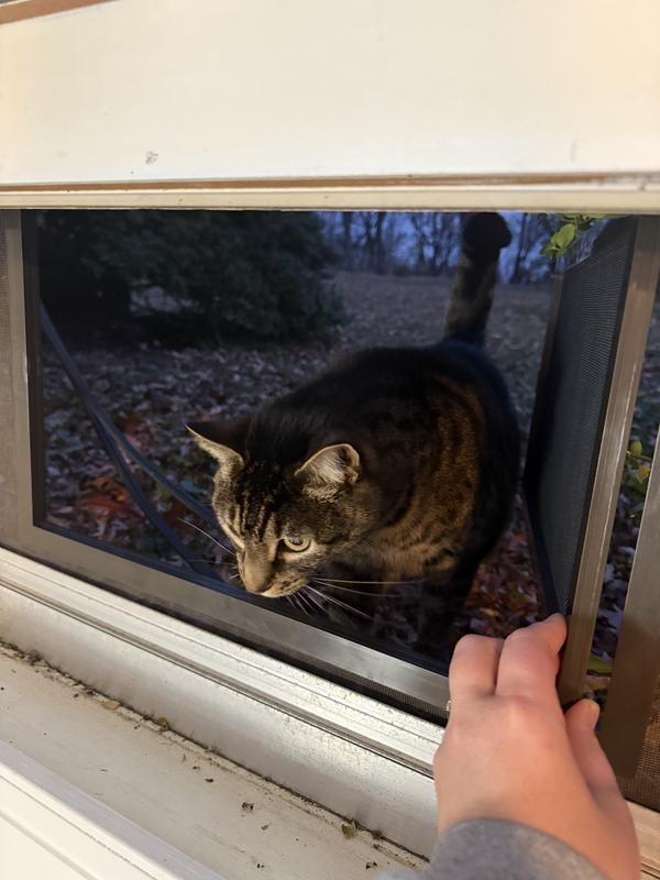 PETSAFE Window & Porch Screen Pet Door, Small - Chewy.com