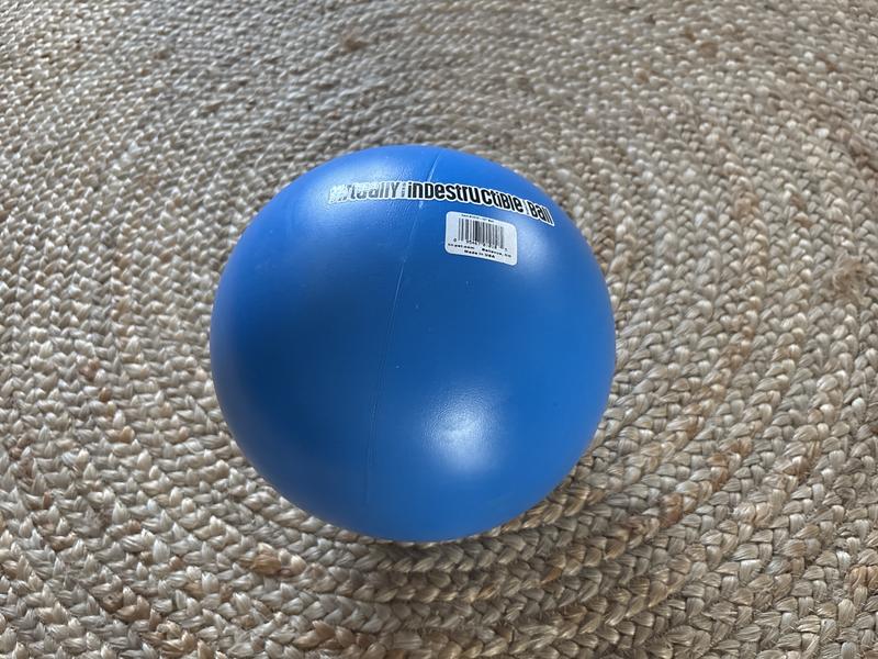 THE VIRTUALLY INDESTRUCTIBLE BALL Dog Toy, Color Varies, 14-in - Chewy.com