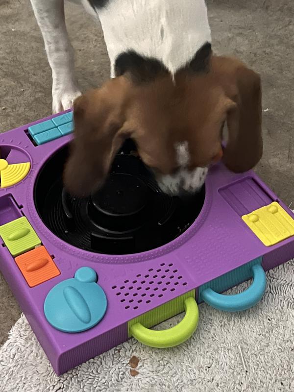 BRIGHTKINS DJ Doggo Puzzle Feeder Dog Toy - Chewy.com