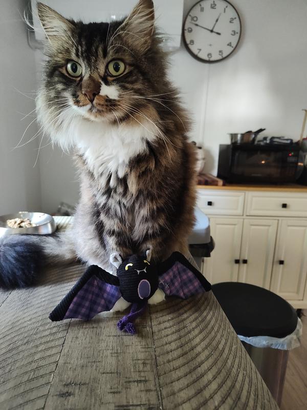 FRISCO Halloween Cutie Bat Plush Cat Toy with Silvervine & Catnip ...