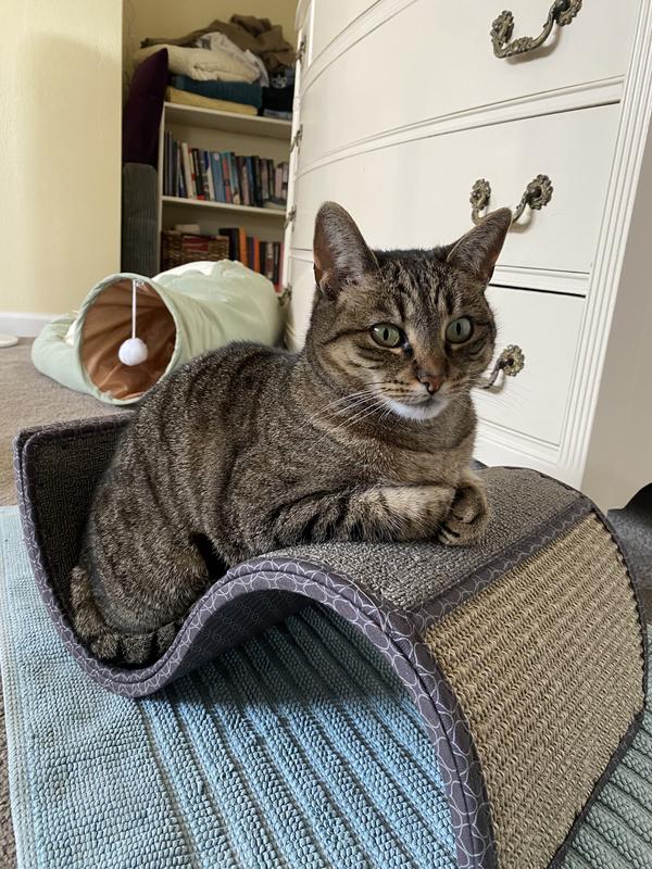 SMARTYKAT Scratch Scroll Sisal & Carpet Curled Cat Scratcher with ...