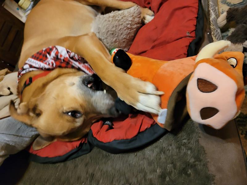 DISNEY Pumbaa Hide & Seek Puzzle Plush Squeaky Dog Toy - Chewy.com