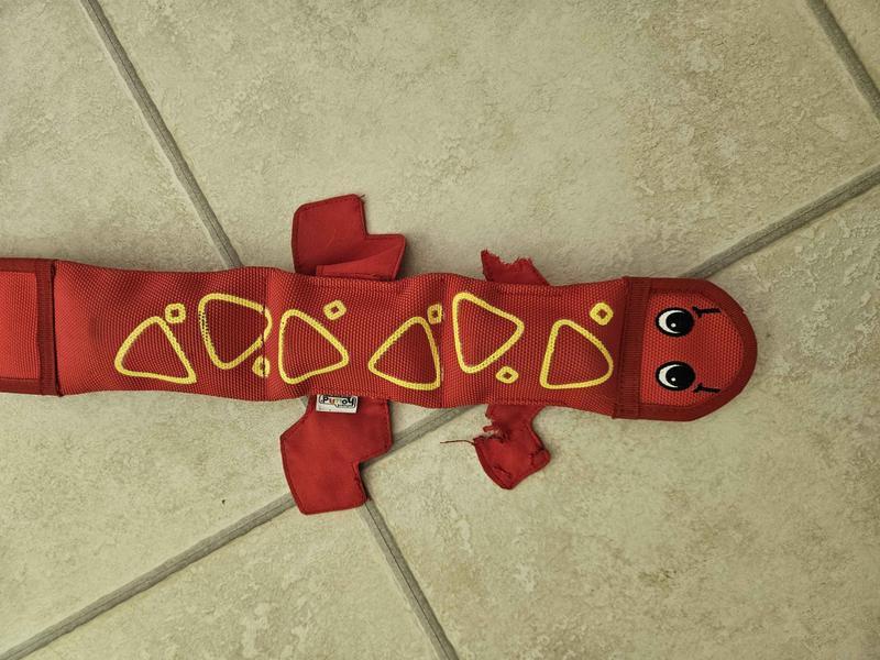 OUTWARD HOUND Fire Biterz Lizard Squeaky Dog Toy, Red, 3 squeak - Chewy.com