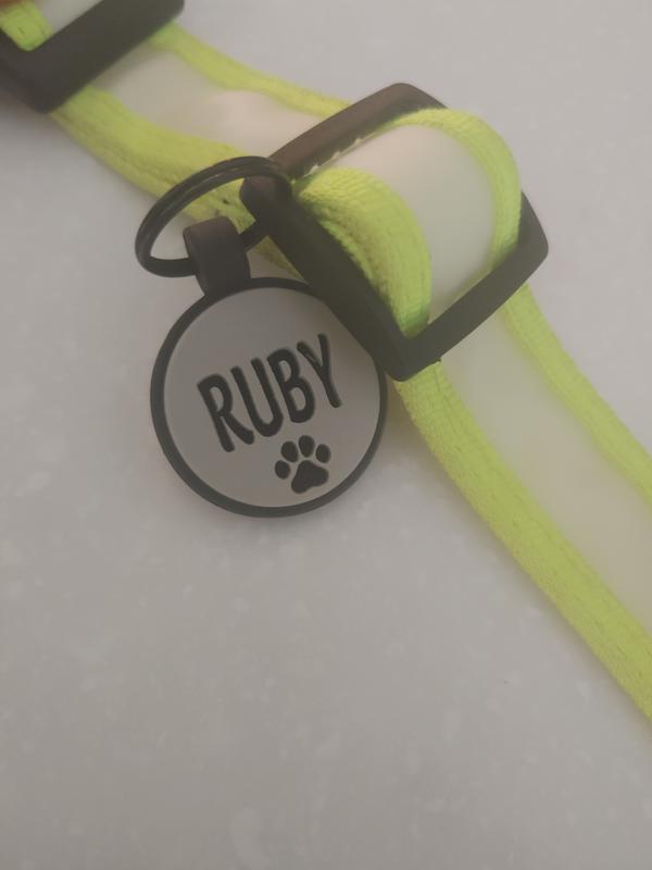 GOTAGS Personalized Silicone Round Dog & Cat ID Tag, Large, Gray ...