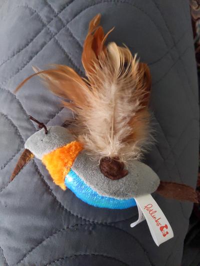 PETLINKS Flutter Singer Hummingbird Cat Toy with Catnip - Chewy.com