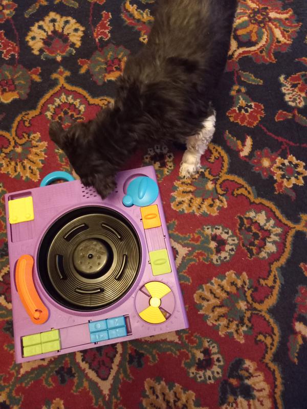 BRIGHTKINS DJ Doggo Puzzle Feeder Dog Toy - Chewy.com