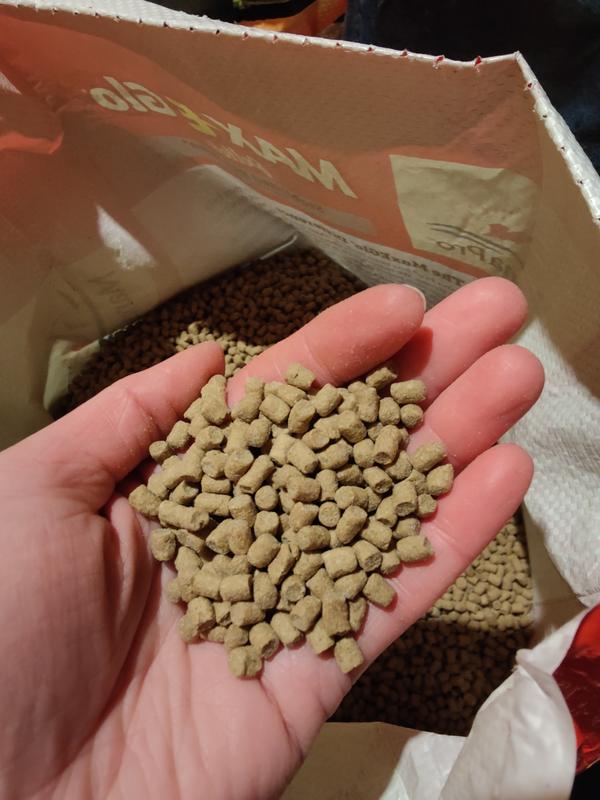 MANNA PRO Max-E-Glo Stabilized Rice Bran Pellets Horse Supplement, 40 ...